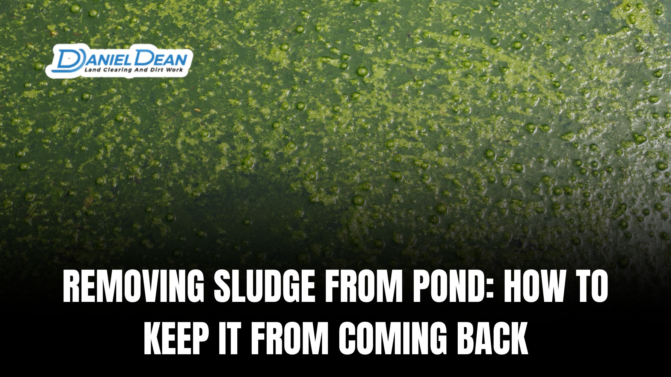 Removing Sludge From Pond: How to Keep It From Coming Back